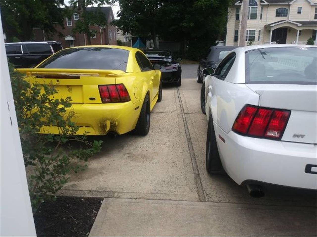 2003 Ford Mustang - American Hot Rods