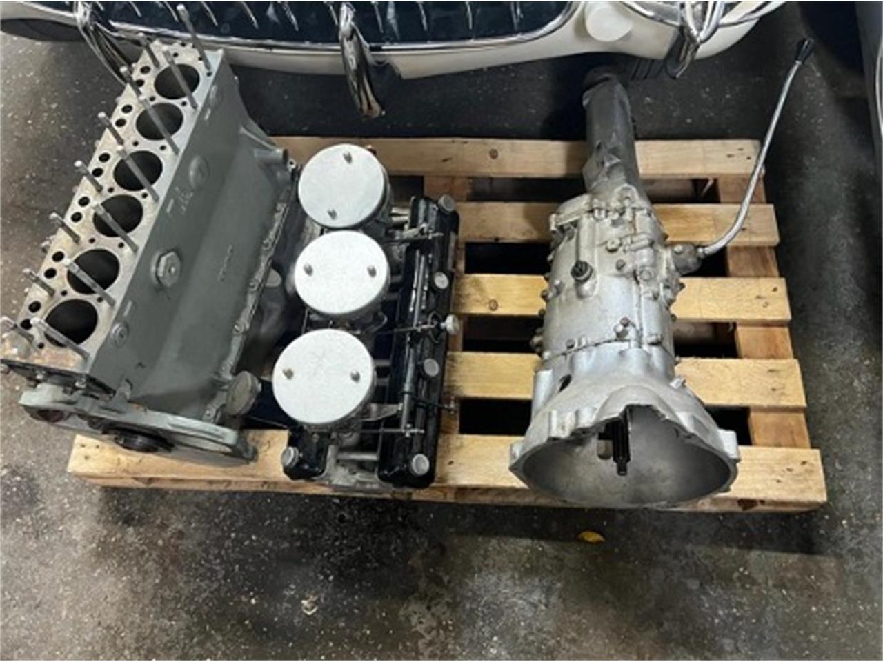 1956 AC Ace Bristol - American Hot Rods