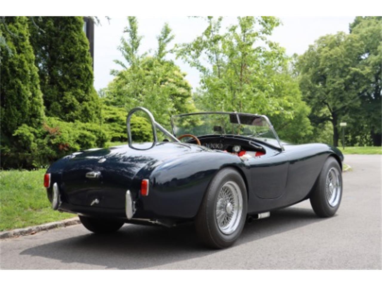 1956 AC Ace Bristol - American Hot Rods