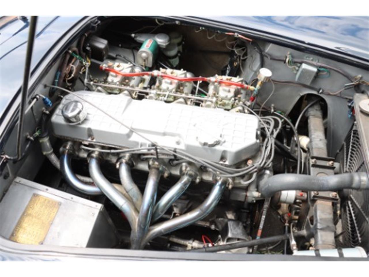 1956 AC Ace Bristol - American Hot Rods