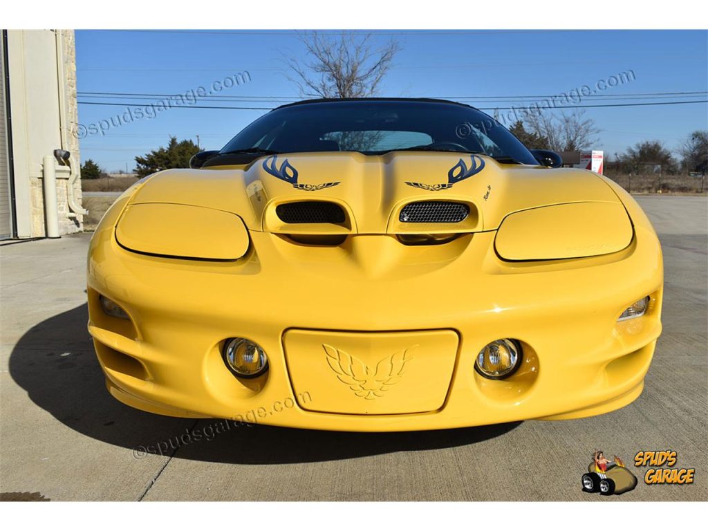 2002 Pontiac Firebird Trans Am WS6 - American Hot Rods