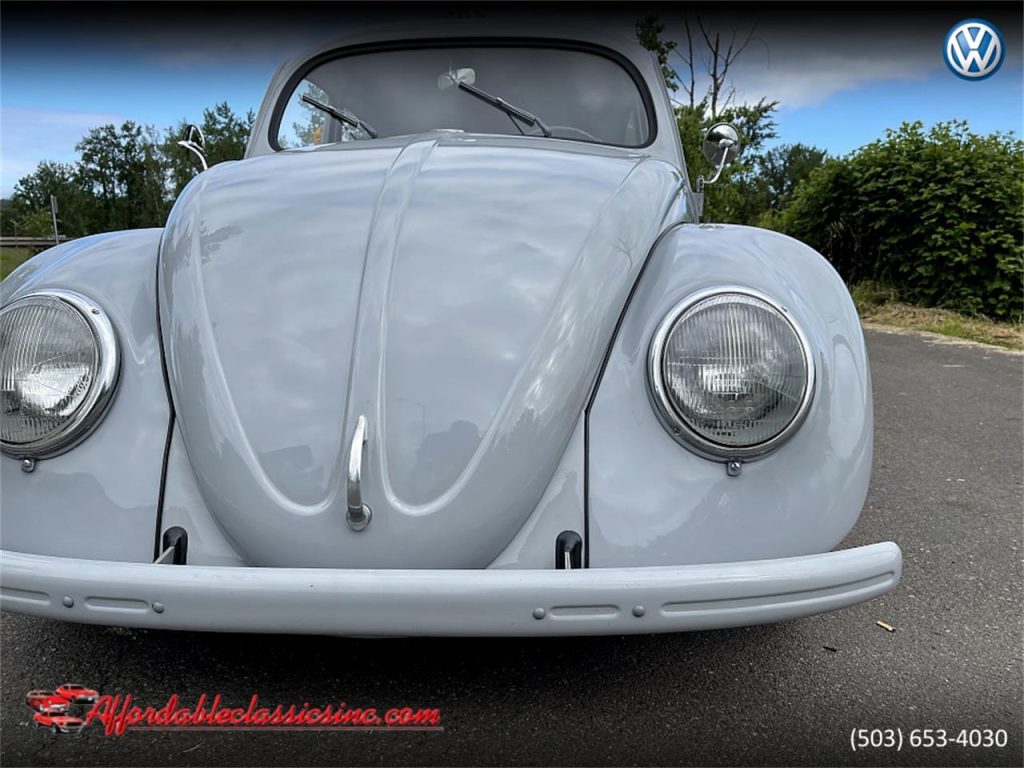 1950 Volkswagen Beetle - American Hot Rods