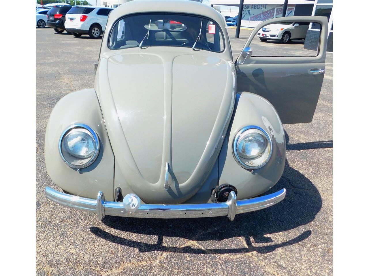 1952 Volkswagen Beetle - American Hot Rods
